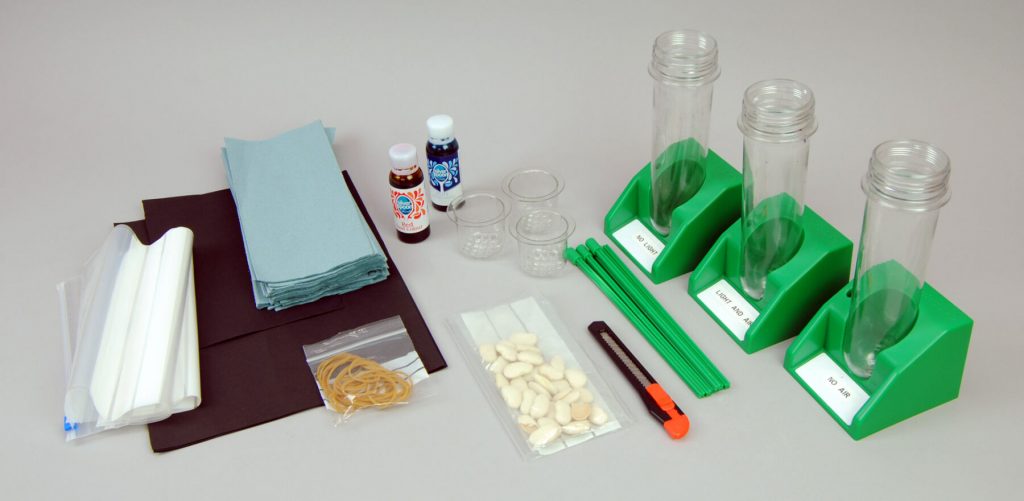 Plant Kit | LJ Create