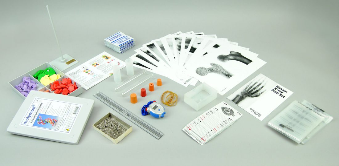 Human Biology Kit | LJ Create